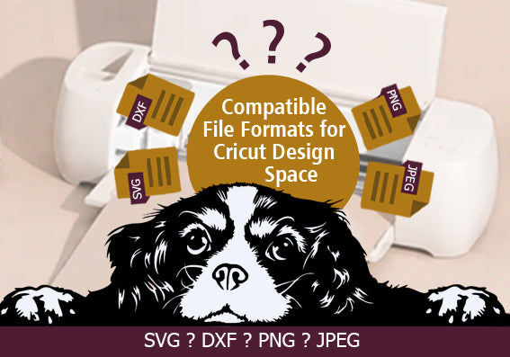 Exploring Compatible File Formats for Cricut Design Space – Art4youSpace