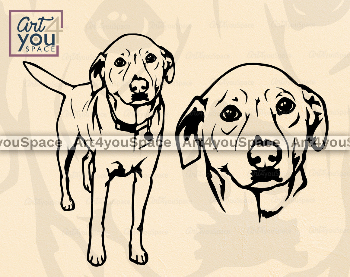 Buy Labrador Body SVG, DXF, PNG – Art4youSpace